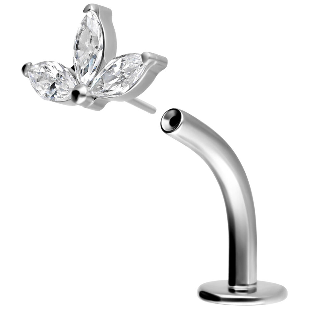 Titan Curved Labret Push Fit - Wildcat Deutschland